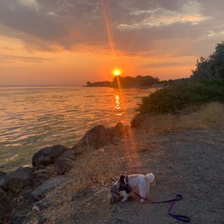 Boardman Marina Park - Boardman, Oregon - RV LIFE Campground Reviews